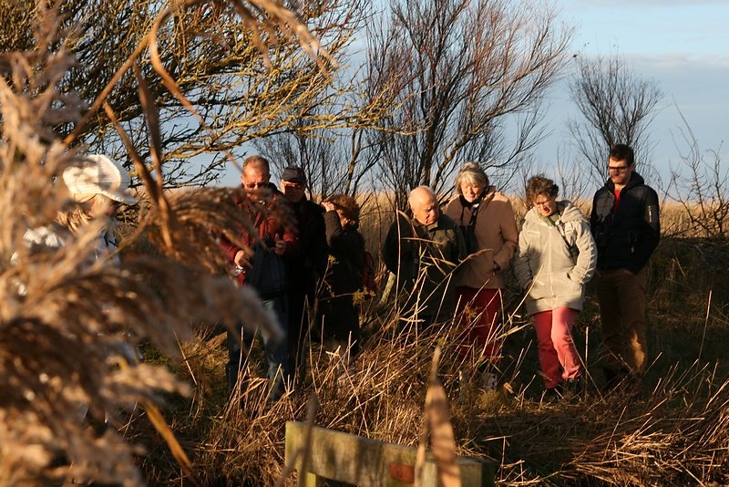 retour sur les bosses - Sorties